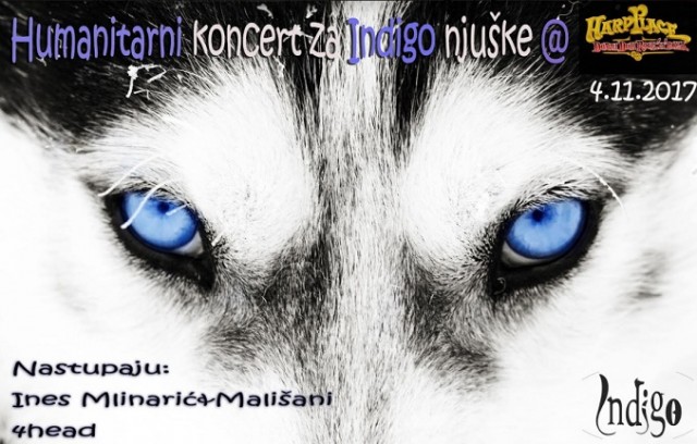 Humanitarni koncert za Indigo njuške i proslava rođendana