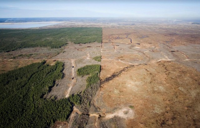 Svjetski dan divljih vrsta - pogled na svijet bez prirode